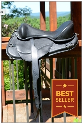 Freeform Treeless Saddles are a Dream Come True - THE ESSENTIAL HORSE
